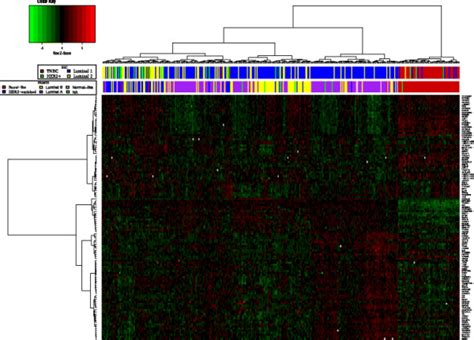 Unsupervised Hierarchical Clustering Of Breast Cancer Heatmap Shows