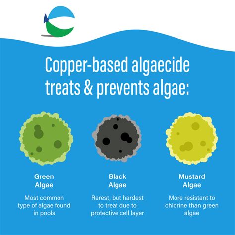 Poolife AlgaeKill II Copper Pool Algaecide Poolife