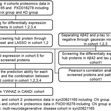 Pipeline Of The Whole Experimental Process Download Scientific Diagram