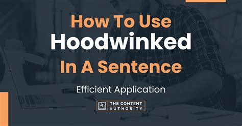 how to use hoodwinked in a sentence efficient application