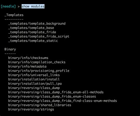 ios application security part 54 the needle framework prateekg147