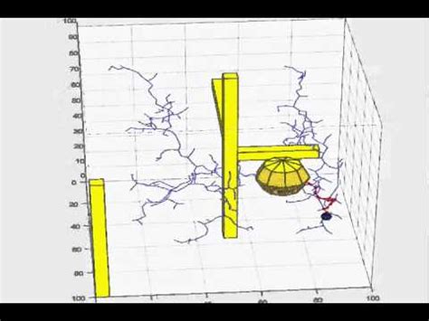D RRT Implementation YouTube