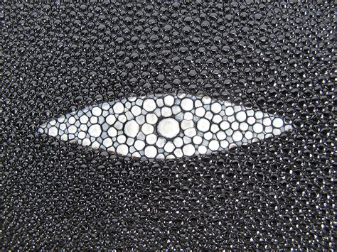 Pelgio Genuine Stingray Skin Leather Hide Pelt Black