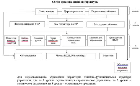Структура управления в школе в виде схемы 81 фото