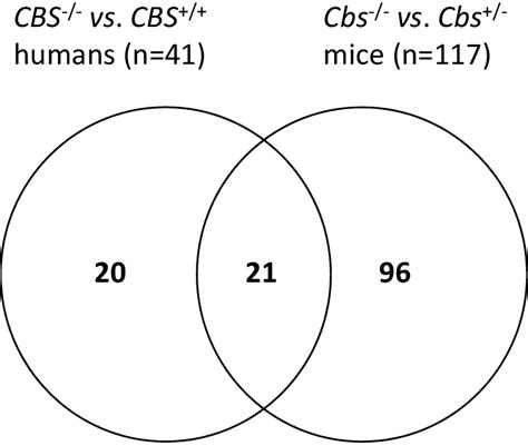 venn diagram illustrating a partial overlap between proteins affected