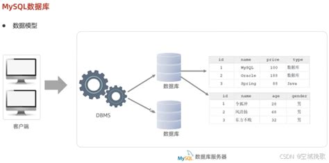 Mysql（零基础入门教学）show Databases Csdn博客