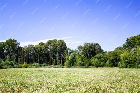 Premium Photo Plot With A Lawn In The Forest Plot Prepared For Sale