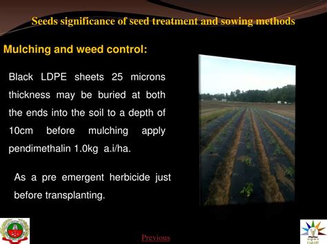 Ppt Seeds Significance Of Seed Treatment And Sowing Methods