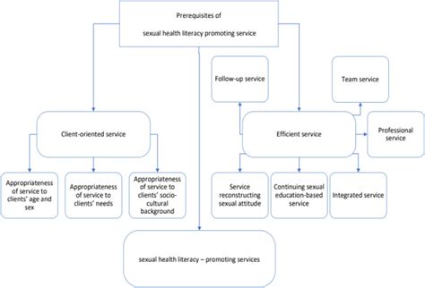 Prerequisites Of Sexual Health Literacy Promoting Service A Qualitative Study In Iran PMC