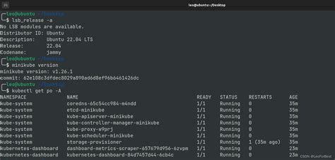 ubuntu 22 04 minikube安装配置 minikube v1 31 2 on ubuntu 22 04