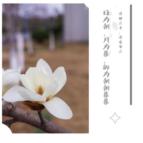 想见你斜挎包想见你同款斜挎包想见你同款包大山谷图库