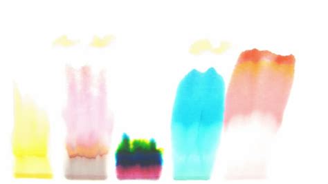 Science Project Ink Chromatography On Stock Footage Video 100