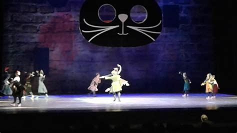 წუნა და წრუწუნას ცეკვა Youtube