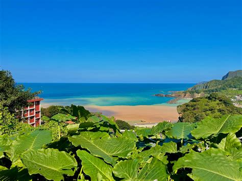 Python的字串格式語法format與f String 在程式設計中，對於字串文字的處理是個免不了的工作。對於處理字串，python