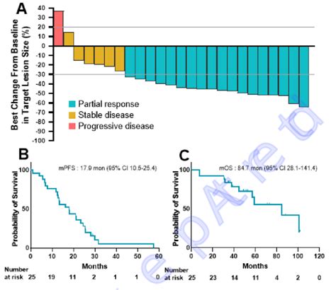 Efficacy Results In All Patients A Waterfall Plot Of Best Percentage