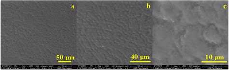 Sem Appearance Of Stained And Bleached Enamel With Experimental Gel Download Scientific