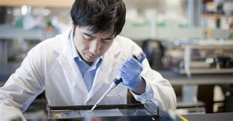 Danielo Perez Austin Blogspot The Oj Simpson Trial And Rflp Analysis Of Dna