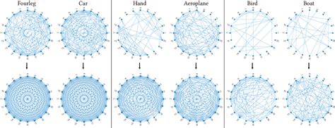Figure 1 From Tensor Maps For Synchronizing Heterogeneous Shape