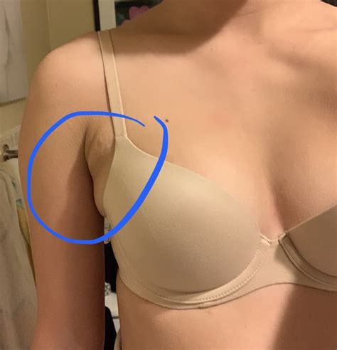 Fit Check Help 30c Aerie Real Sunnie Demi Push Up R Abrathatfits