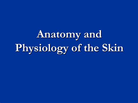 Skin Anatomy And Phys