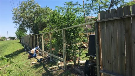 Gallery Liebre Concrete