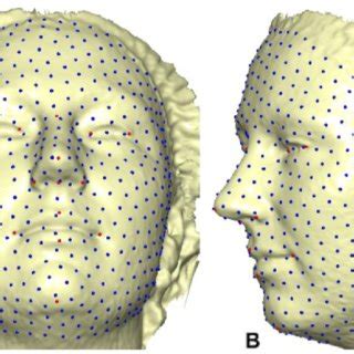 A Three Dimensional Mesh Template With The Location Of The Prominent Download Scientific