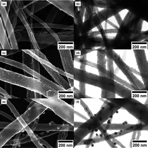 A SEM And B STEM Image Of CNT PdaCu C SEM And D STEM Image Of Download Scientific