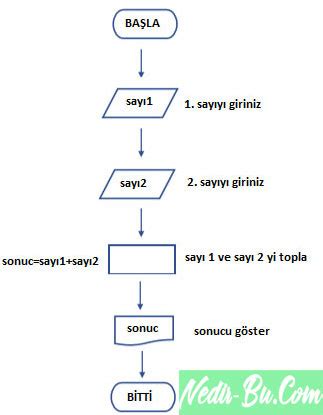 Algoritma Ne Demek Kısaca Açıklayıp Örnekler Verelim Nedir Bu