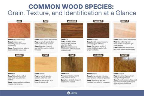How To Choose The Best Wood Finishes For Different Wood Types In Your