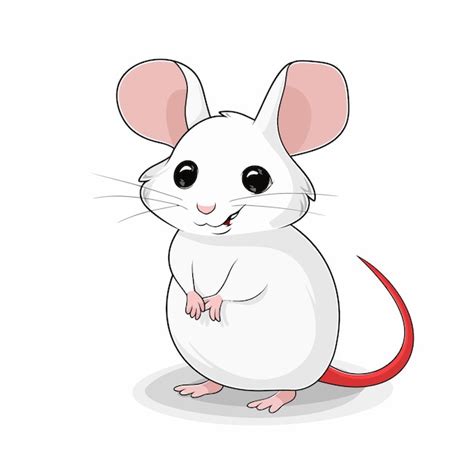 Premium Vector Rat Cute Vector Premium Vector Rat Cute Vector
