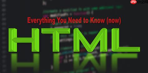 Html怎么设置输入框样式？ Html教程 Php中文网