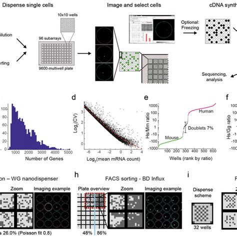 a strt seq 2i workflow overview b and c distribution of molecule
