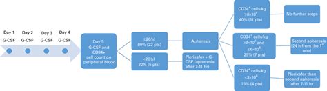 Plerixafor Stem Cell Mobilization Algorithm Download Scientific Diagram