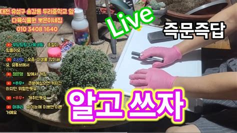 다육이 무엇이든 물어보세요😚😚😚 짧게 통통 칼슘 키핑장 공동생활 기냥 냅둬유~~~😅 Youtube