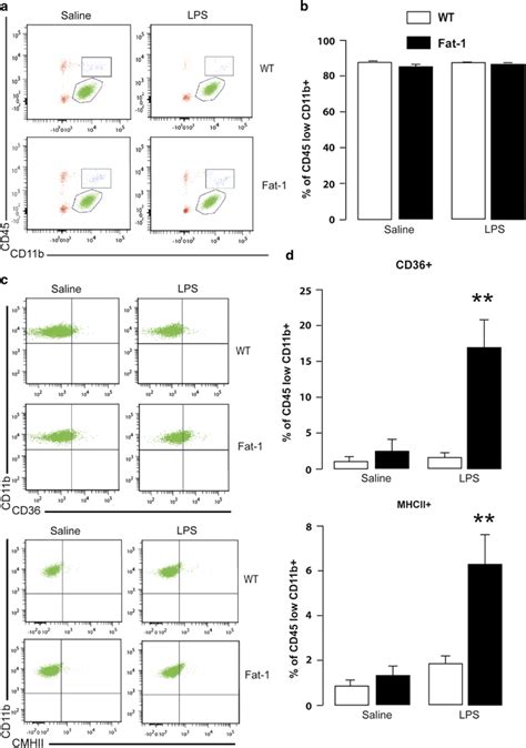 Lps Modulates Microglia Phenotype In The Brain Of Fat 1 But Not Of Wt