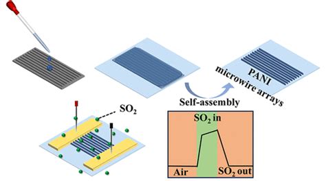 Conductive Polyaniline Based Microwire Arrays For So2 Gas Detection Acs Applied Materials