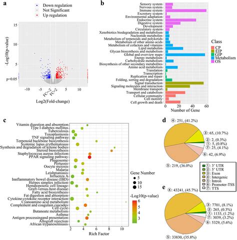 Transcriptomics And Methylomics Information Between The Model And Lyc