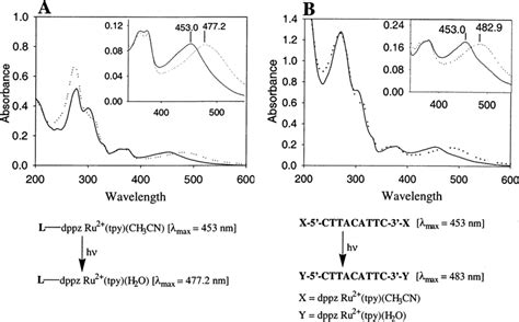 Uv Vis Absorption Spectra Of Starting Acetonitrile Complex And Their