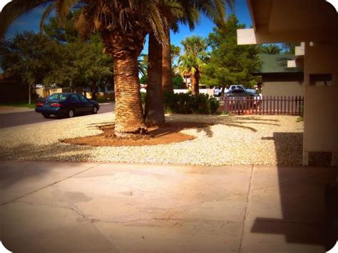 How To Kill Bermuda Grass In 5 Different Ways Greenlife