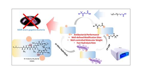 Hydrolyzable Poly Polyethylene Glycol Methyl Ether Acrylate Colistin Prodrugs Through Copper