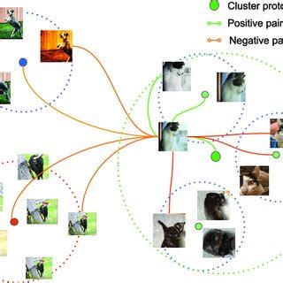 Overview Of The Contrastive Representation Learning Framework Its