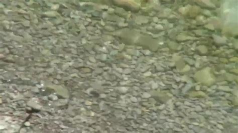 Beach Voyeur Porn Videos