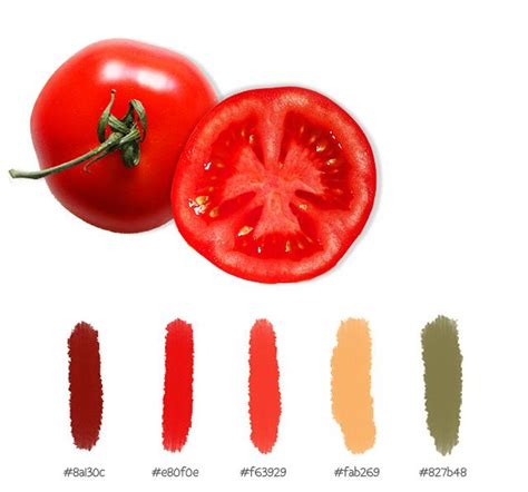 Tomato Color Palette