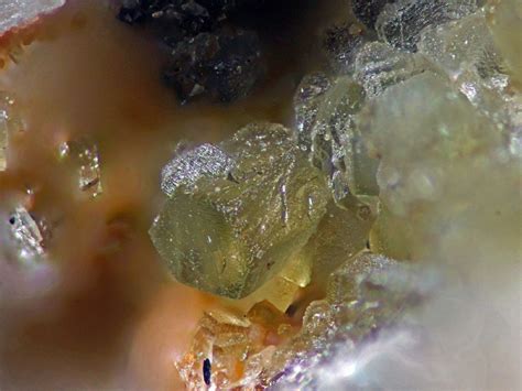 Facts About Angela Hartnett Facts Net