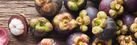 Universal Sentence Encoder 知乎