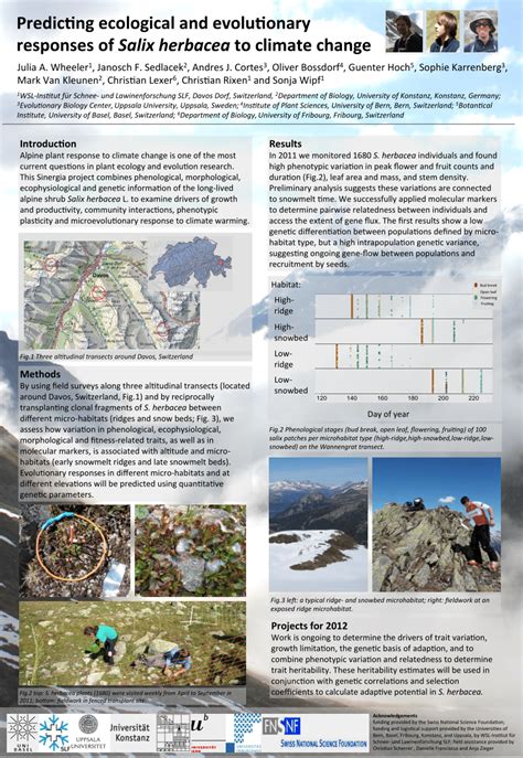 Pdf Predicting Ecological And Evolutionary Responses Of Salix