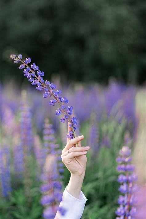 Фотосессия в люпинах | Flower photoshoot, Creative photography poses ...
