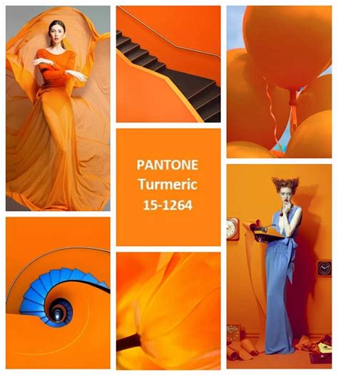 橙色搭配色 2 花瓣网