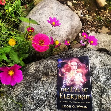 Mandy Wilcox Wilcoxmandy • Instagram Photos And Videos