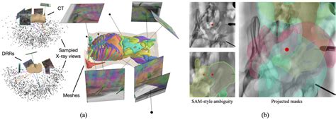 [논문 리뷰] Fluorosam A Language Aligned Foundation Model For X Ray Image Segmentation